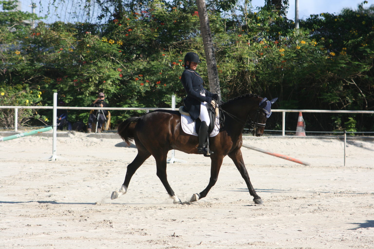 L’équipe – Cavaliers de Saint-George